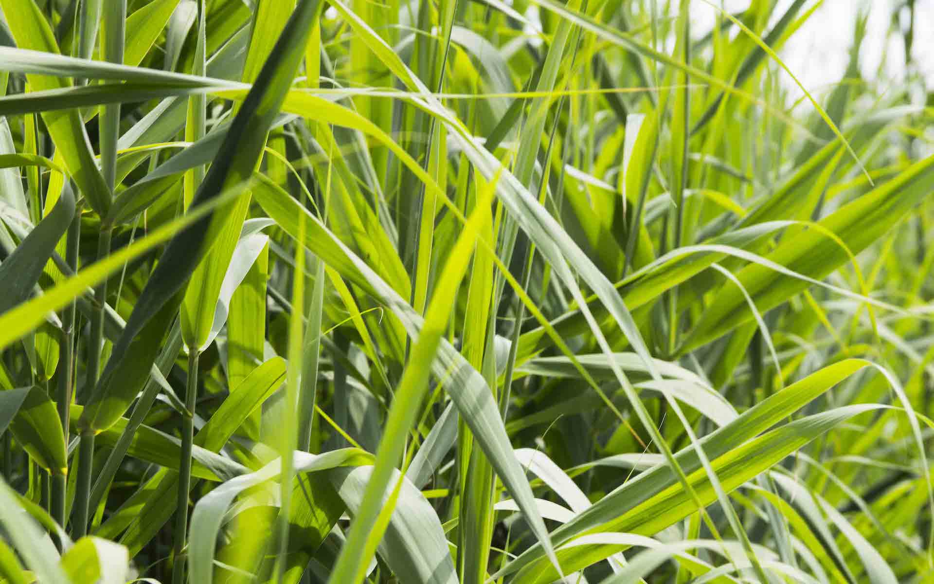 SERPOL • Agence Eatomoro.